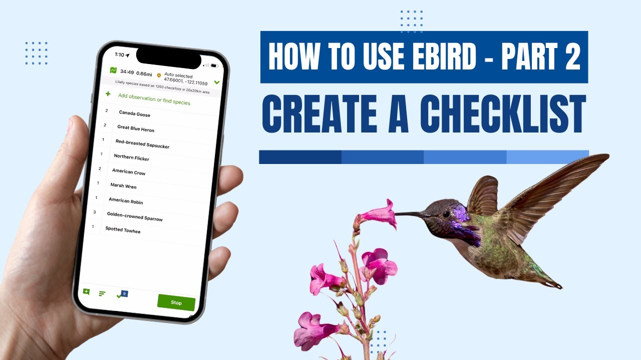 How to Use the eBird App Part 2: Create a Birding Checklist Step-by ...
