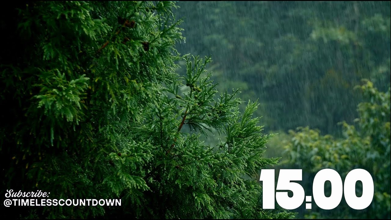 🌧️ 15-Minute Forest Rain Countdown | Relaxing Timer with Rain Sounds for Focus or Breaks - YouTube