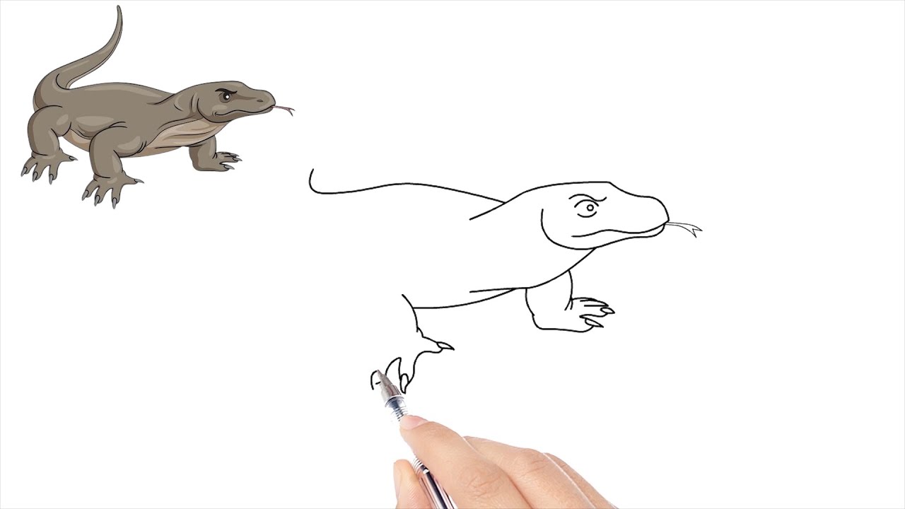 Komodo Dragon Drawing Step by Step | Mady Arts - YouTube