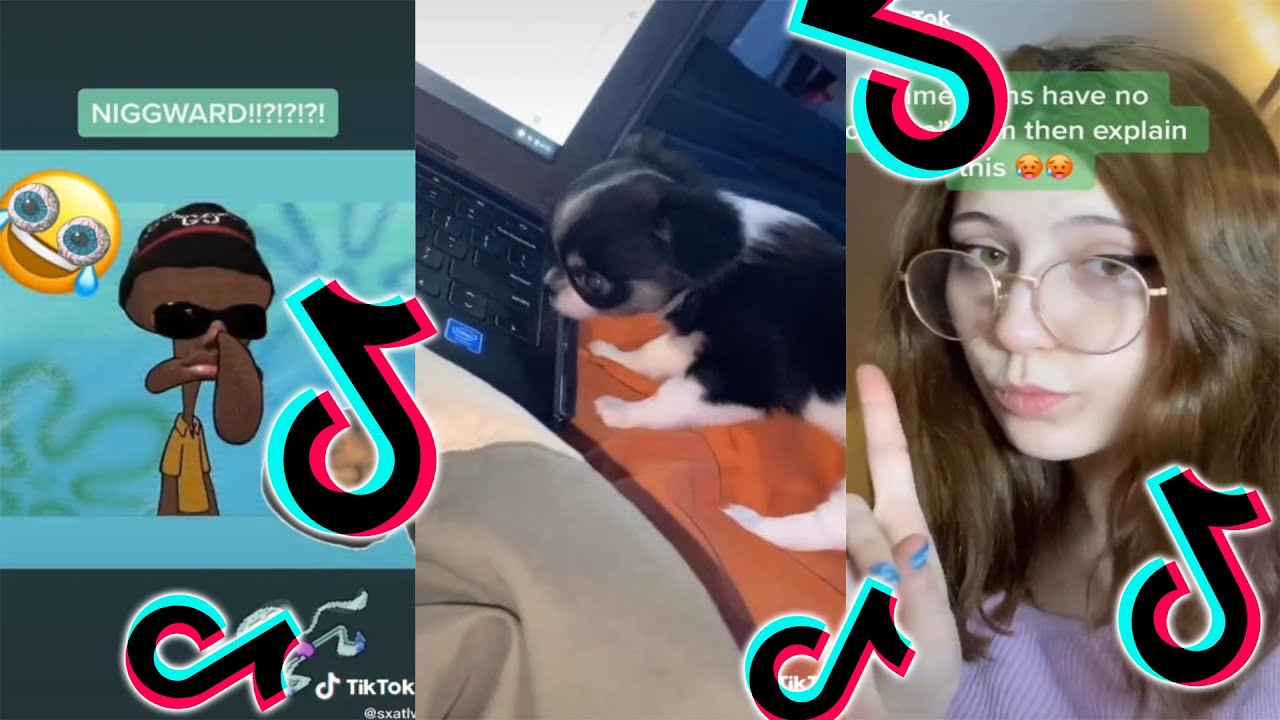 Tik Tok Memes That Make My Dog Happy - YouTube