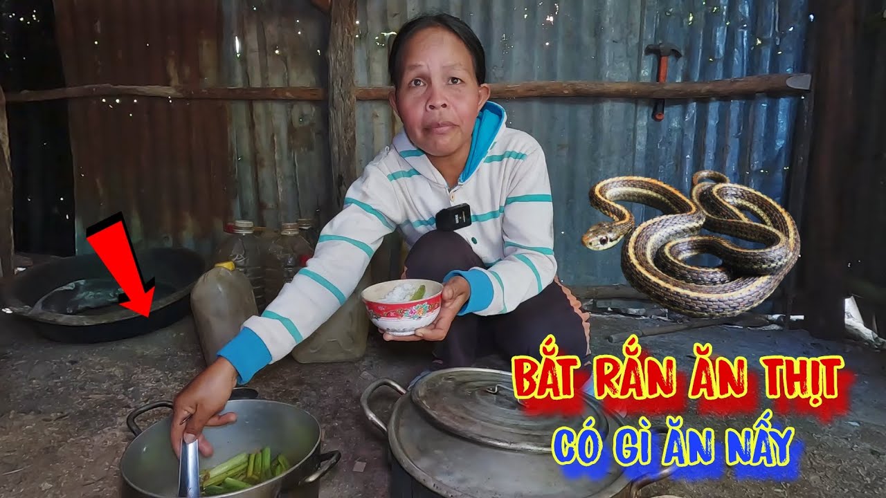 NGƯỜI ĐÀN BÀ ăn nhờ Ở ĐẬU trong căn nhà RÁCH NÁT, ăn lá CÂY RỪNG duy ...