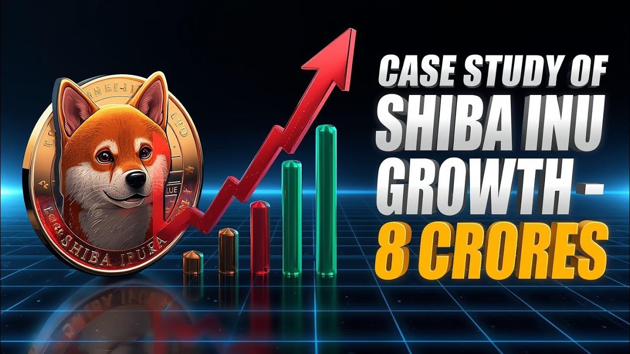 Shiba Inu Case Study | Doge Coin Killer Cryptocurrency Returns on ...