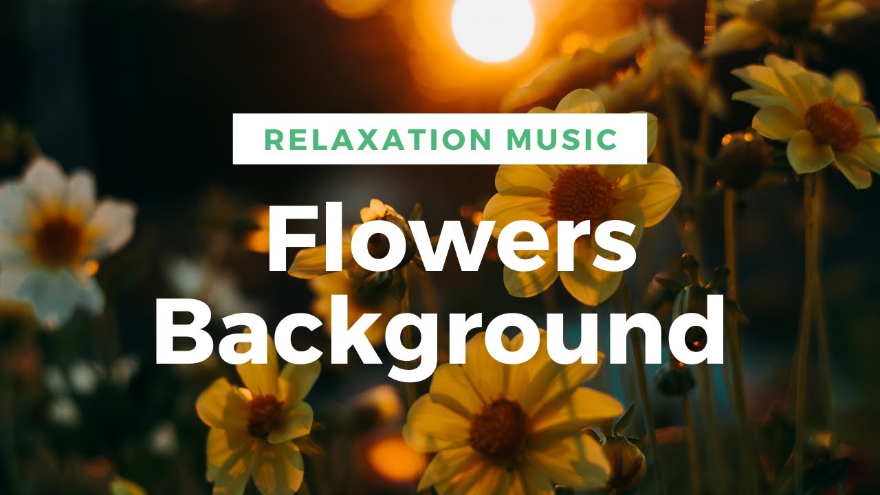 Relaxation music (with flowers in the background) - YouTube