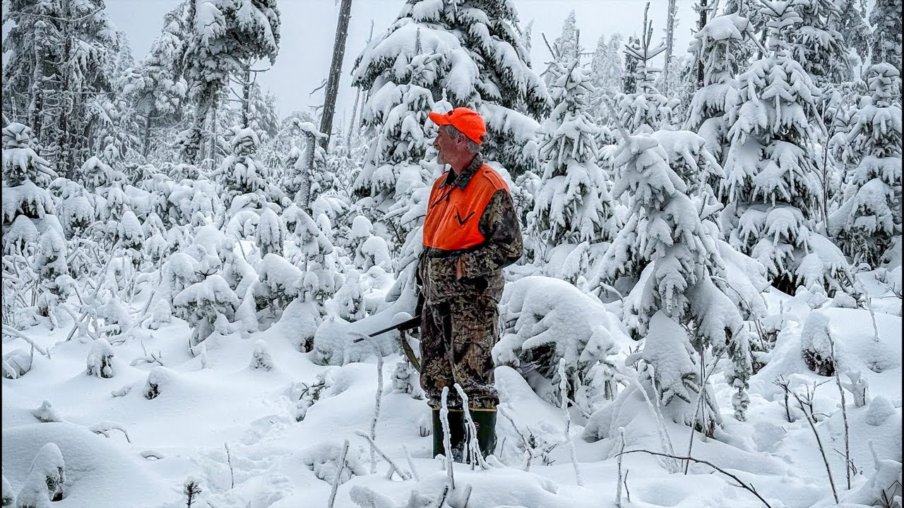 10 Rules for Deer Hunting Success | Tracking Edition - YouTube