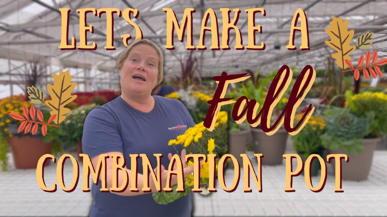 How To Plant Fall Combination Pots // Katey's Tips & Tricks For Fall ...