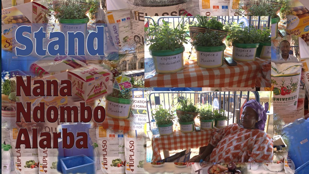 Visite Nana Ndombo : 1ére Edition Foire Agricole organisée par Give 1 ...