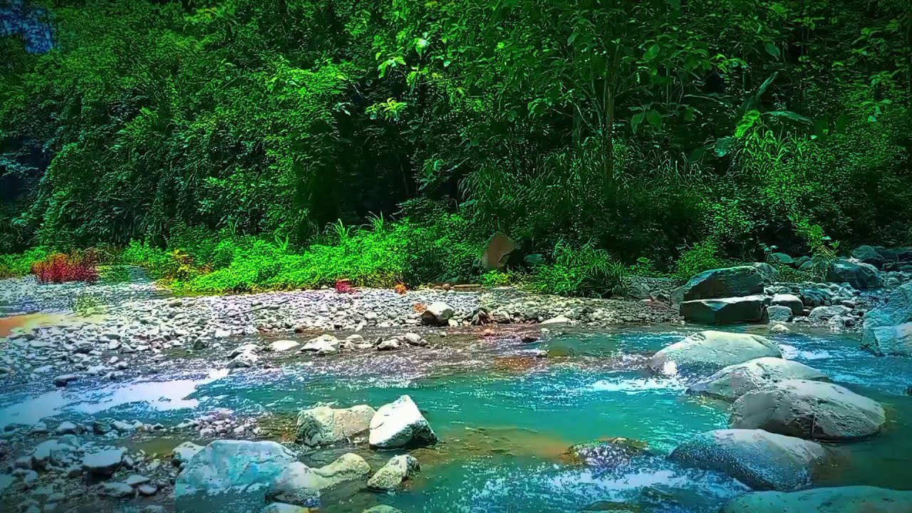 Natural River Flow for Calm Moments and Tranquility - YouTube