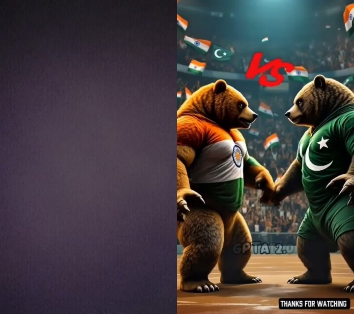 🇮🇳 India vs 🇵🇰 Pakistan Fight Between Bear's #ai #india #pakistan - YouTube