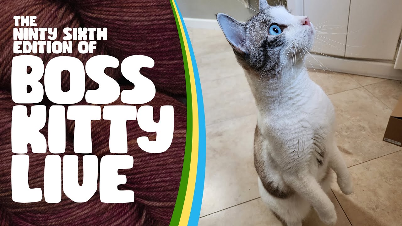 Boss Kitty LIVE 96 | So Long, Farewell - Let's Weave? - YouTube