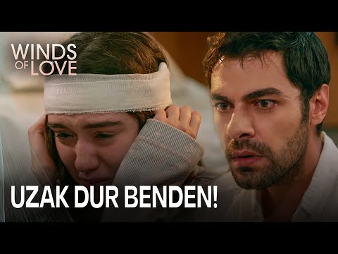 Zeynep, Halil'i yanında istemiyor | Rüzgarlı Tepe 101. Bölüm