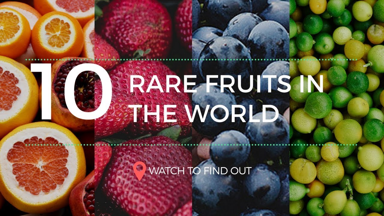 Top 10 rare fruits in the world you do not heared about!! - YouTube