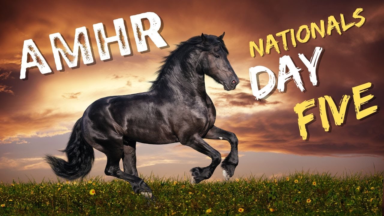 AMHR Nationals Mustang Arena (Sept 11th) - YouTube