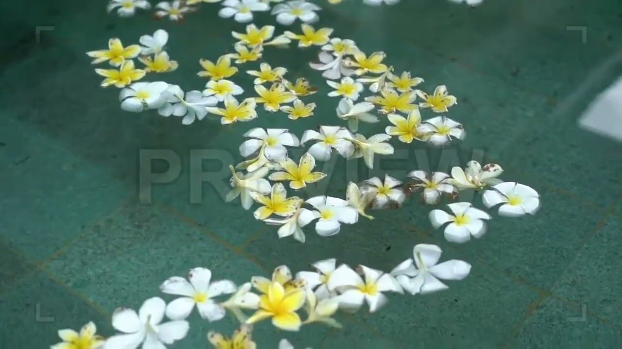 How To Float - YouTube