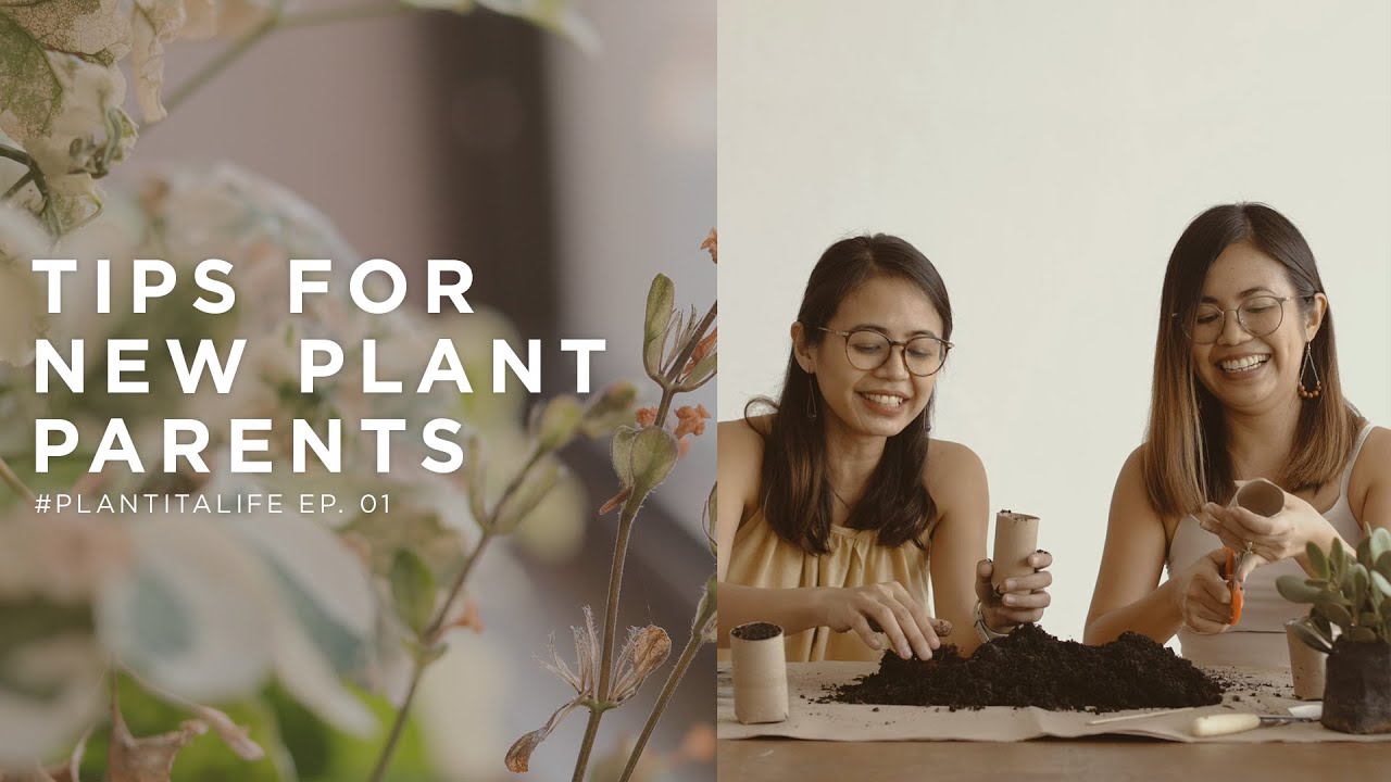 How to start gardening at home: #PlantitaLife Ep. 01 | Common Room PH ...