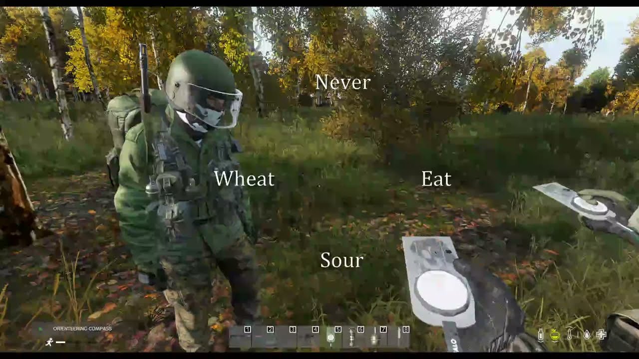 DayZ Compass Reading Guide (Funny Tutorial) - YouTube