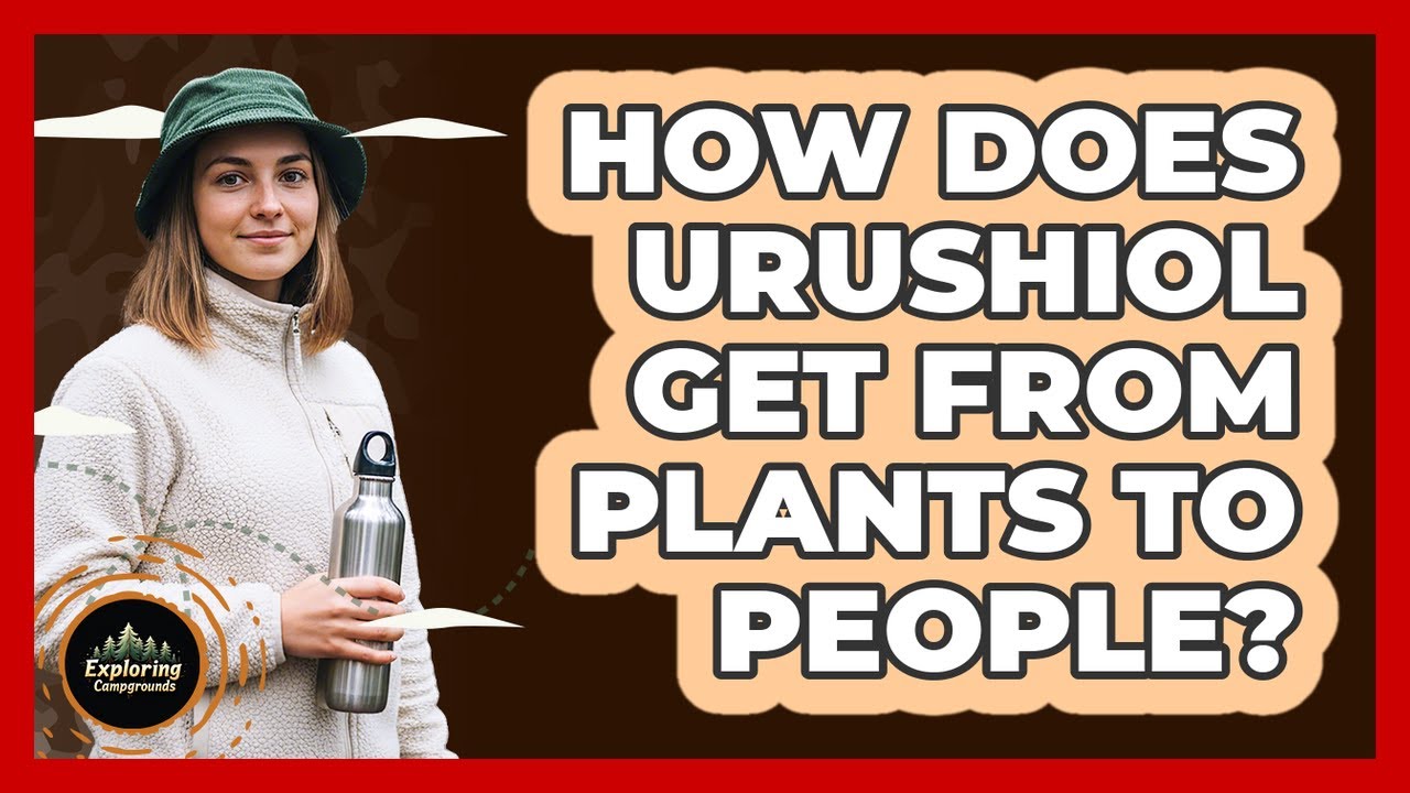How Does Urushiol Get From Plants To People? - YouTube