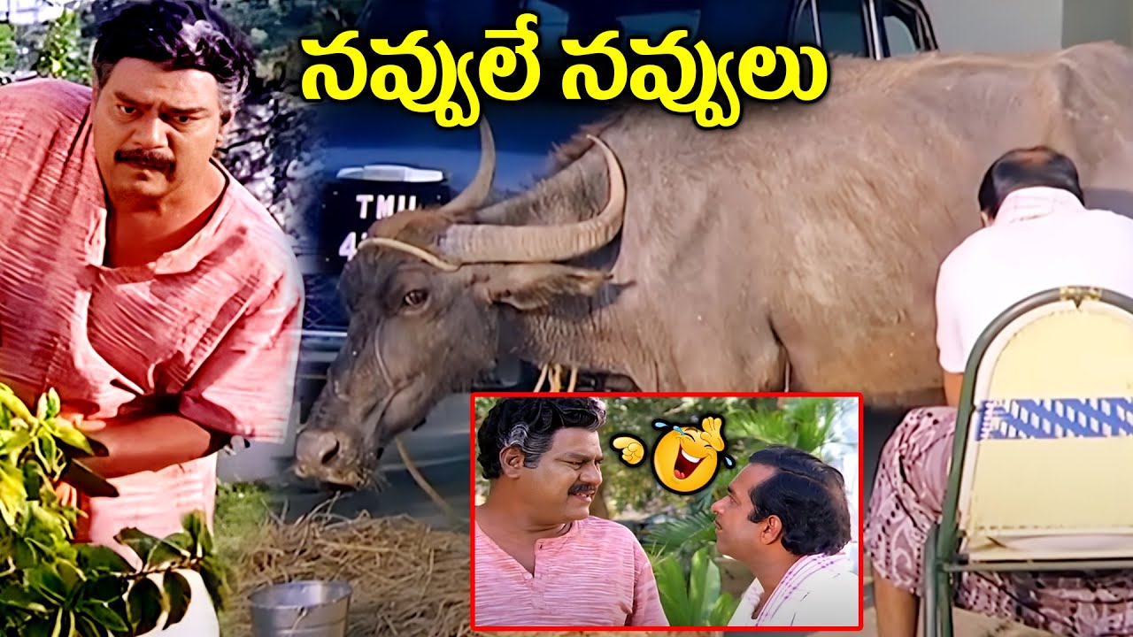 Kota Srinivasa Rao And Brahmanandam Comedy Scenes | Telugu Non Stop ...