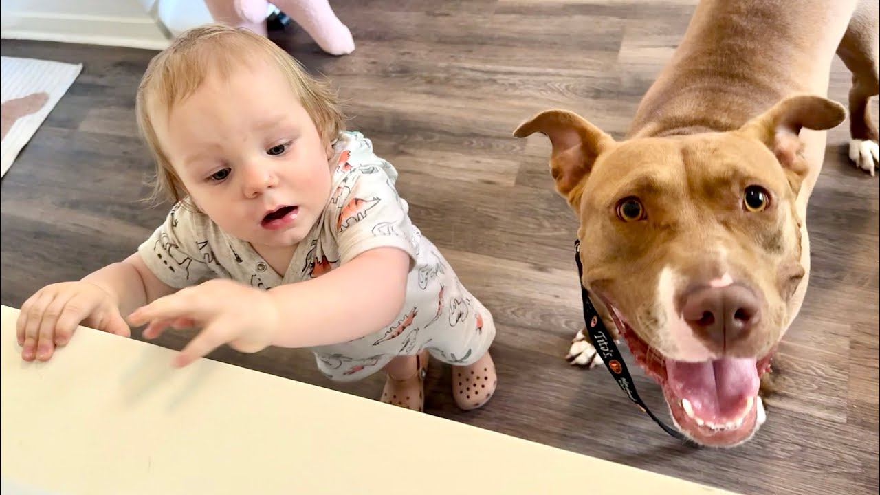 Blinky Baby loves the babies and belly rubs! - YouTube