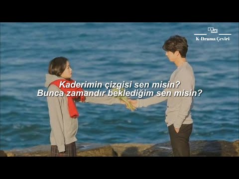 Chanyeol (EXO) & Punch - Stay With Me (Türkçe Çeviri) Goblin OST Part 1