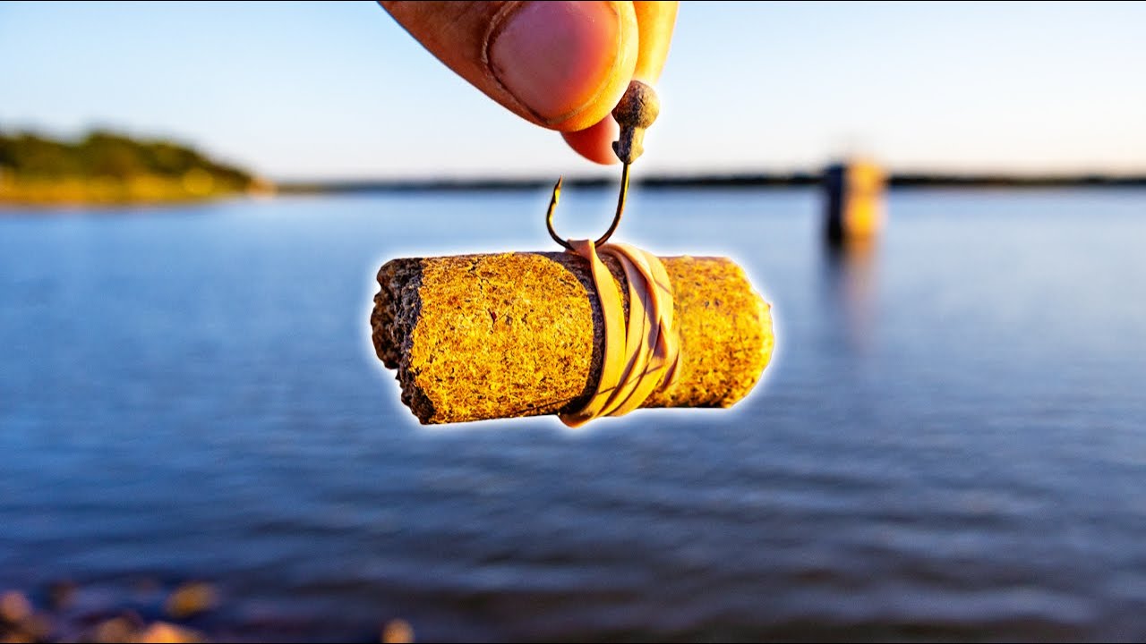 I Found the BEST FISHING BAIT Ever!...and No One Uses It? - YouTube