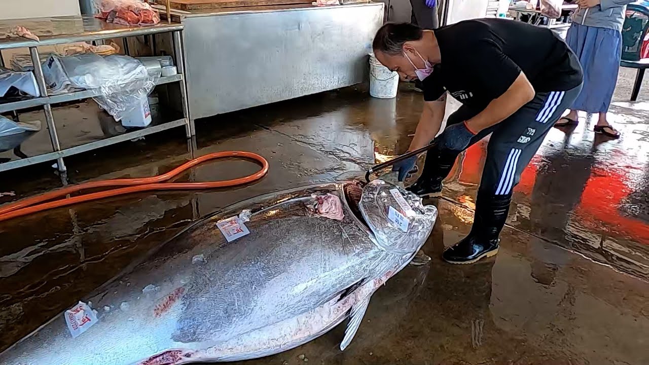 See how the best bluefin tuna cutter in Taiwan is cut by a man - YouTube