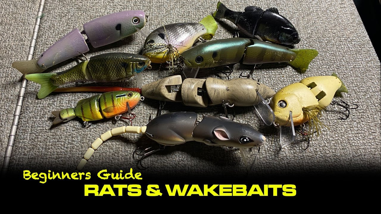 Beginner's Guide: Rats and Wakebaits - YouTube