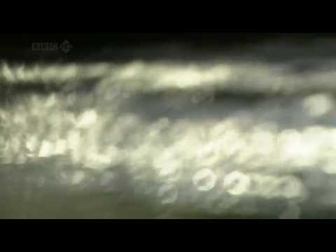 Wild Swimming With Alice Roberts - Excerpt (2008) - YouTube