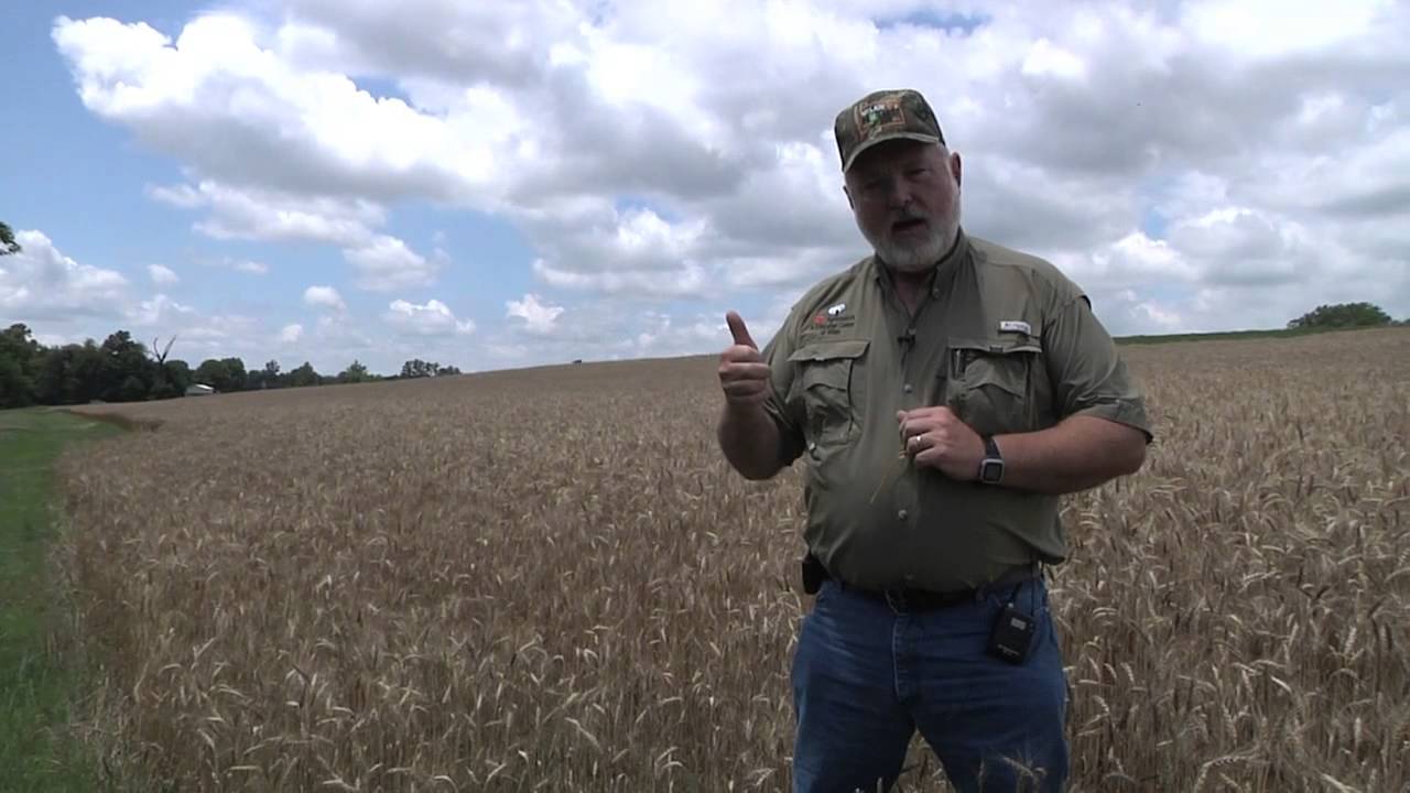 Rainfall Simulator - YouTube