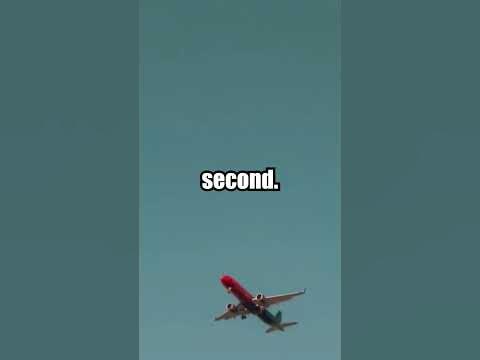 Experience Instant Gratification: Just Wait One Second! ⏳ | Short and ...