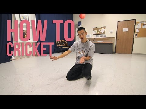How Fast Do Crickets Move
