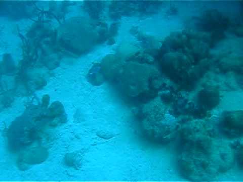 Scuba diving artist painting a yellow submarine , Caroline Appleyard ...