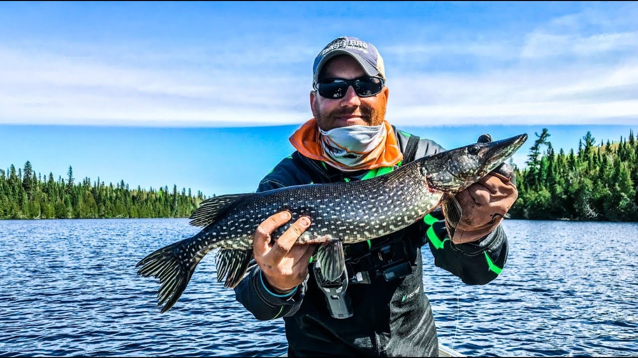 Canadian Pike Fishing Vlog Day 5 - Oswald Pike Eat Boss Shads - YouTube