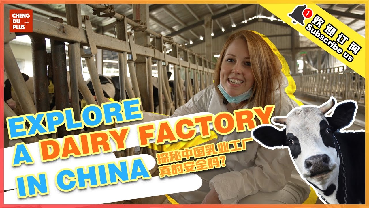 What is China's food production factory like? Is it really clean and ...
