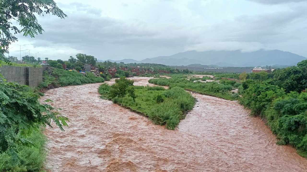 ghaggar river flood|| panchkula flood #river #youtubeshorts #viral # ...