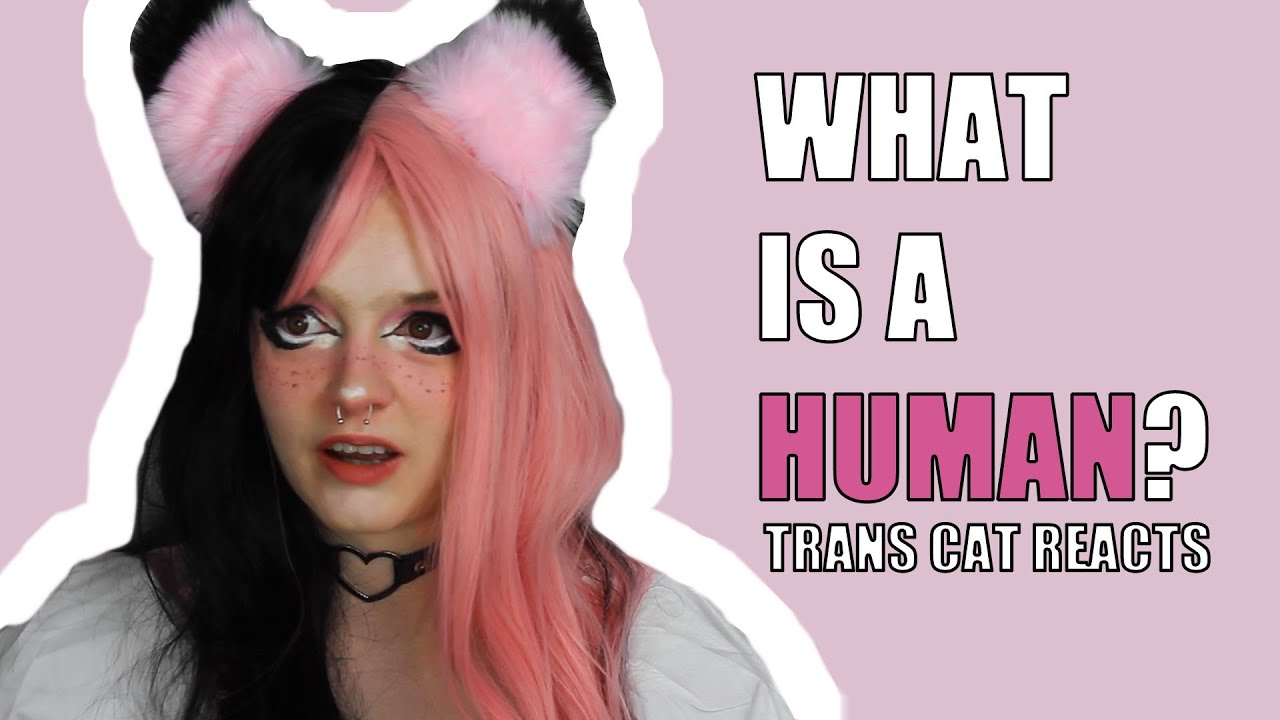 WHAT IS A HUMAN? (TRANS CAT EXPLAINS) - YouTube