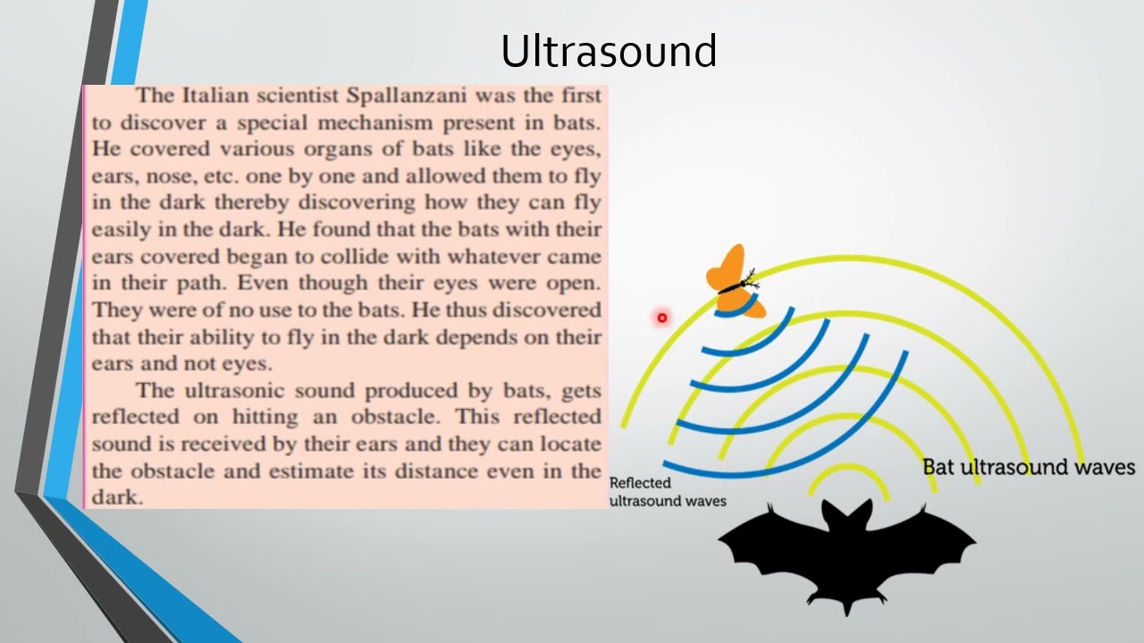 Study of Sound, Science 1,Std 9, Part 2 - YouTube