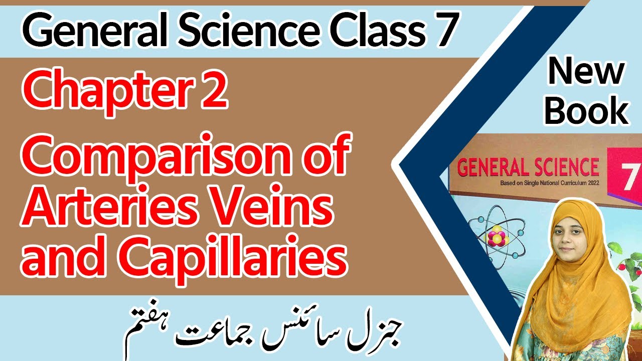 Class 7 Science Chapter 2 -Arteries Veins and Capillaries-7 Class ...
