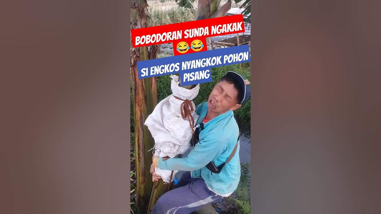 Bobodoran Sunda ngakak, si engkos nyangkok pohon pisang - YouTube