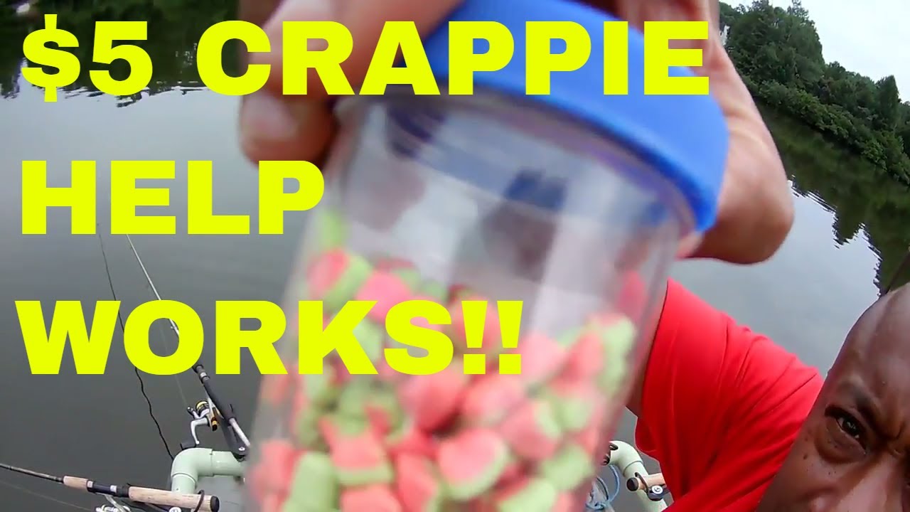Cam's Crappie Hole **$5 CRAPPIE BITES DO WORK!!** - YouTube