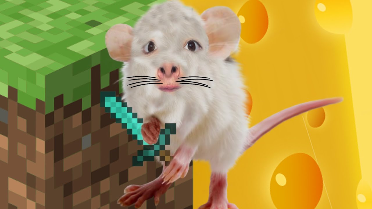 NIÑO RATA EN MINECRAFT 🐀 - YouTube