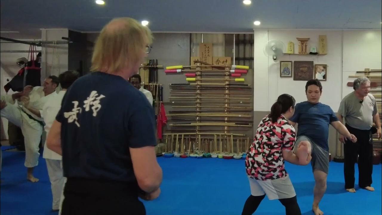 Asato Dojo guest instructor: Robin Young Sifu teaches Hung Gar - YouTube