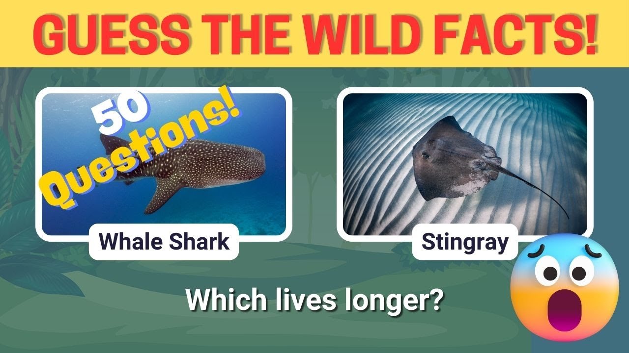 Ultimate Animal Quizzes: Guess the Wild Facts! #animalquiz #quizzes ...