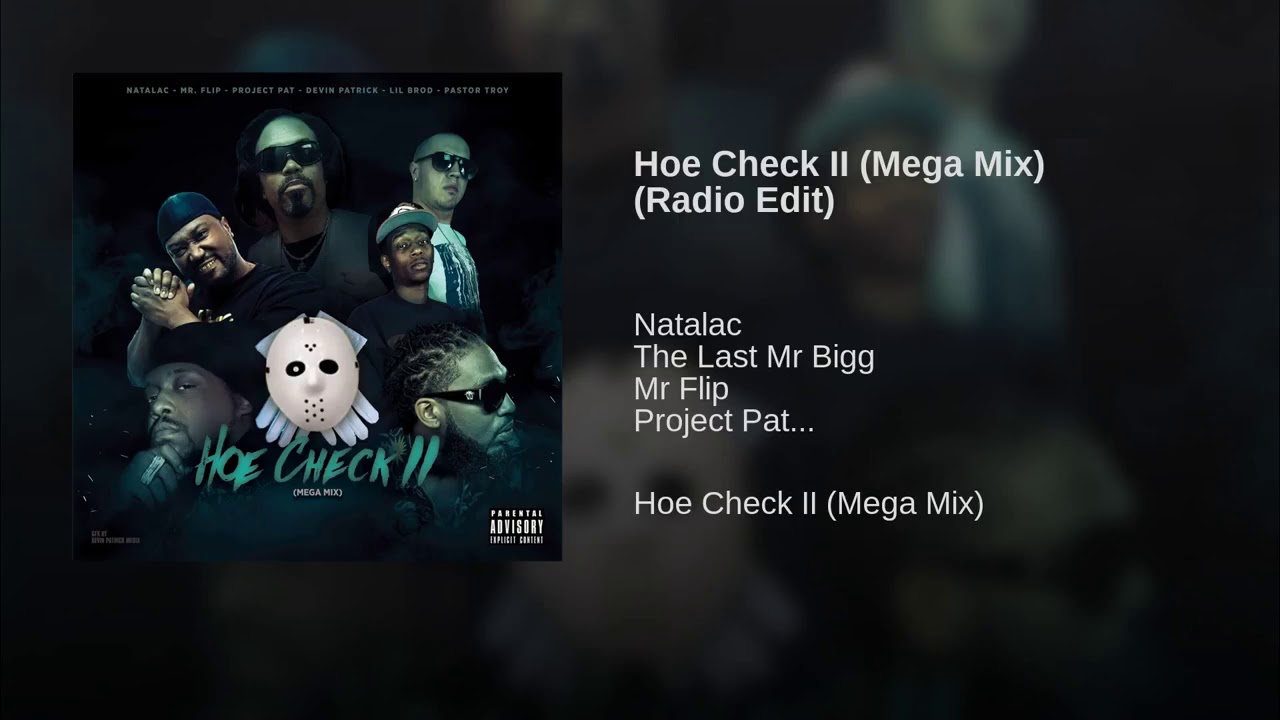 Hoe Check II (Mega Mix) [Clean] ft Mr Bigg, Flip, Project Pat, Devin ...