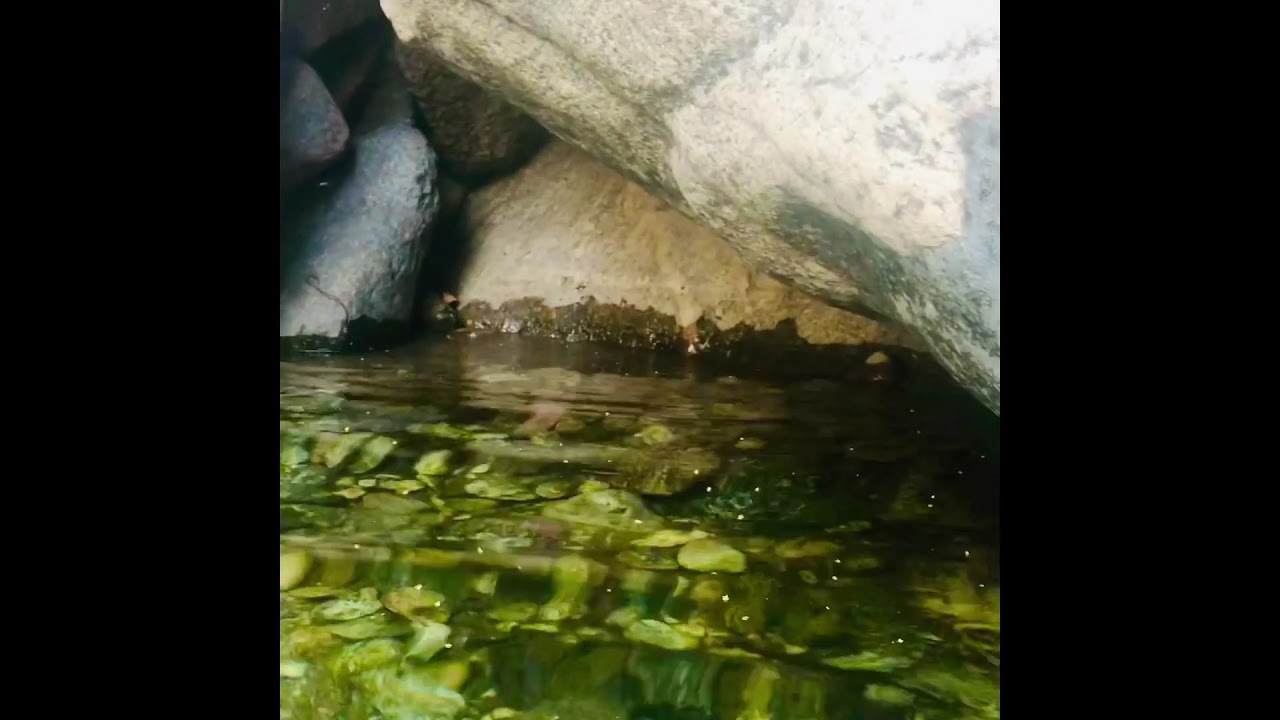 pathrakadavu underwater view iPhone 11 pro - YouTube