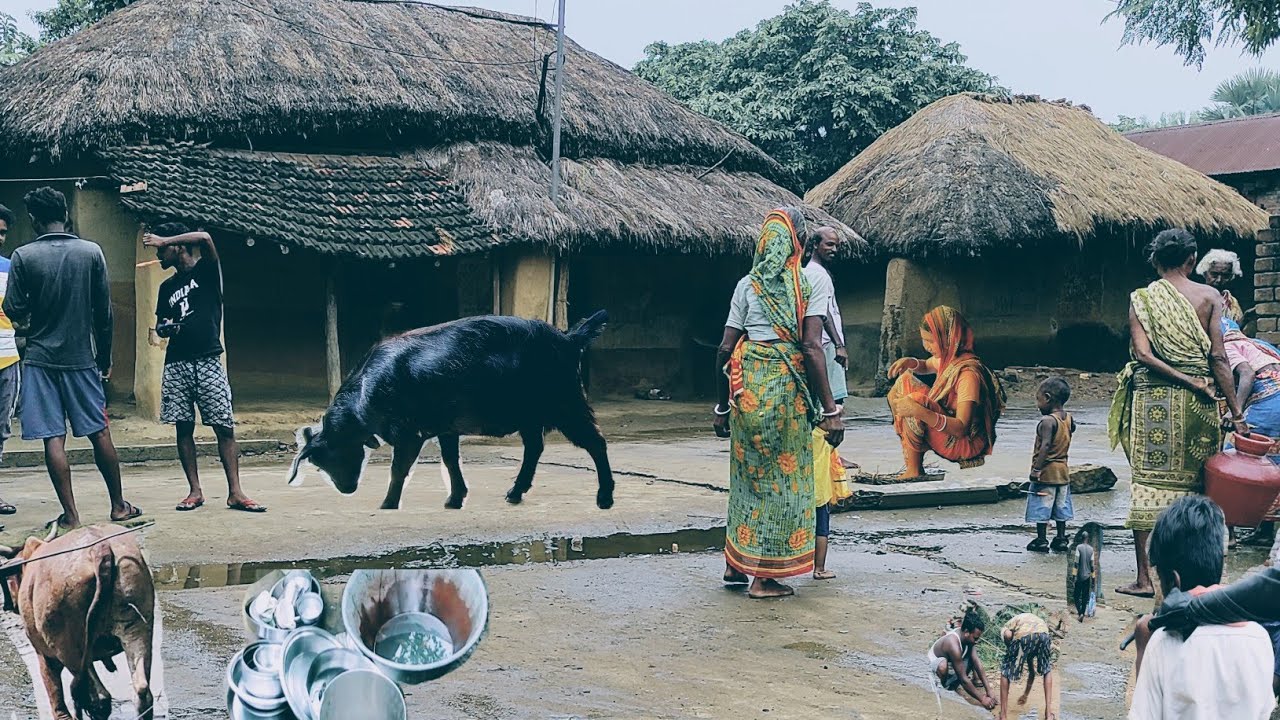 Rural Life In India Up Daily Routine Work |Poor people Lifestyle |India ...