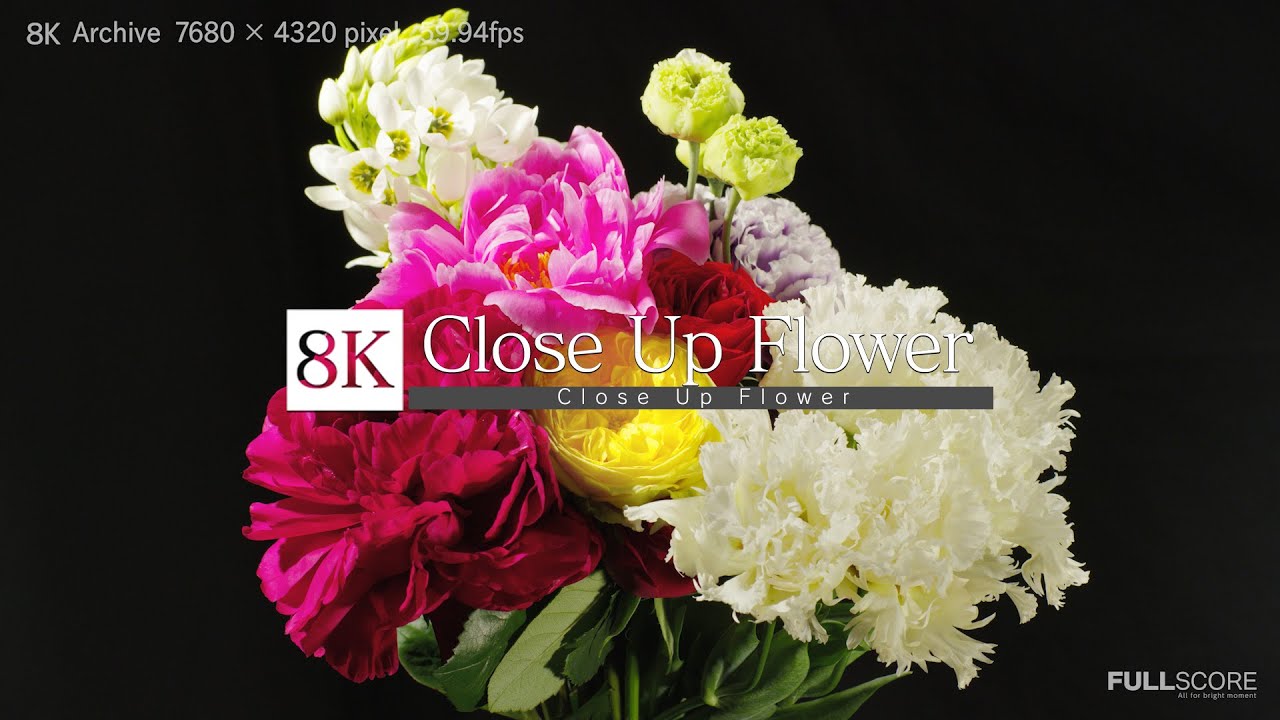 [8K 4320p UHD] Close Up Flower - YouTube