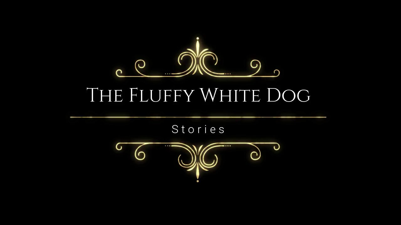Story 1 Fluffy Dog Intro - YouTube