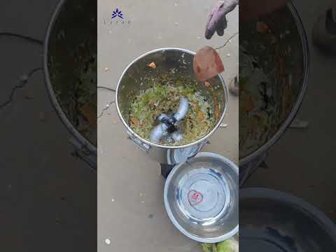 Multi-Function Food Chopper#vegetables  #food #cutter #animals #chopper#machine