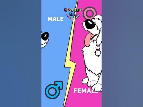 The Little Mermaid gender swap edit | Little mermaid Con Género Opuesto ...