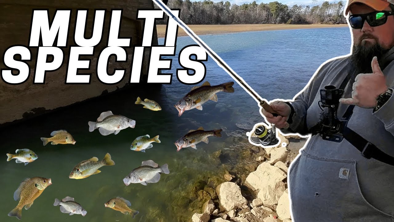 The Most Fish I Caught ALL Winter! Featuring @FishingWithChris_Tv - YouTube